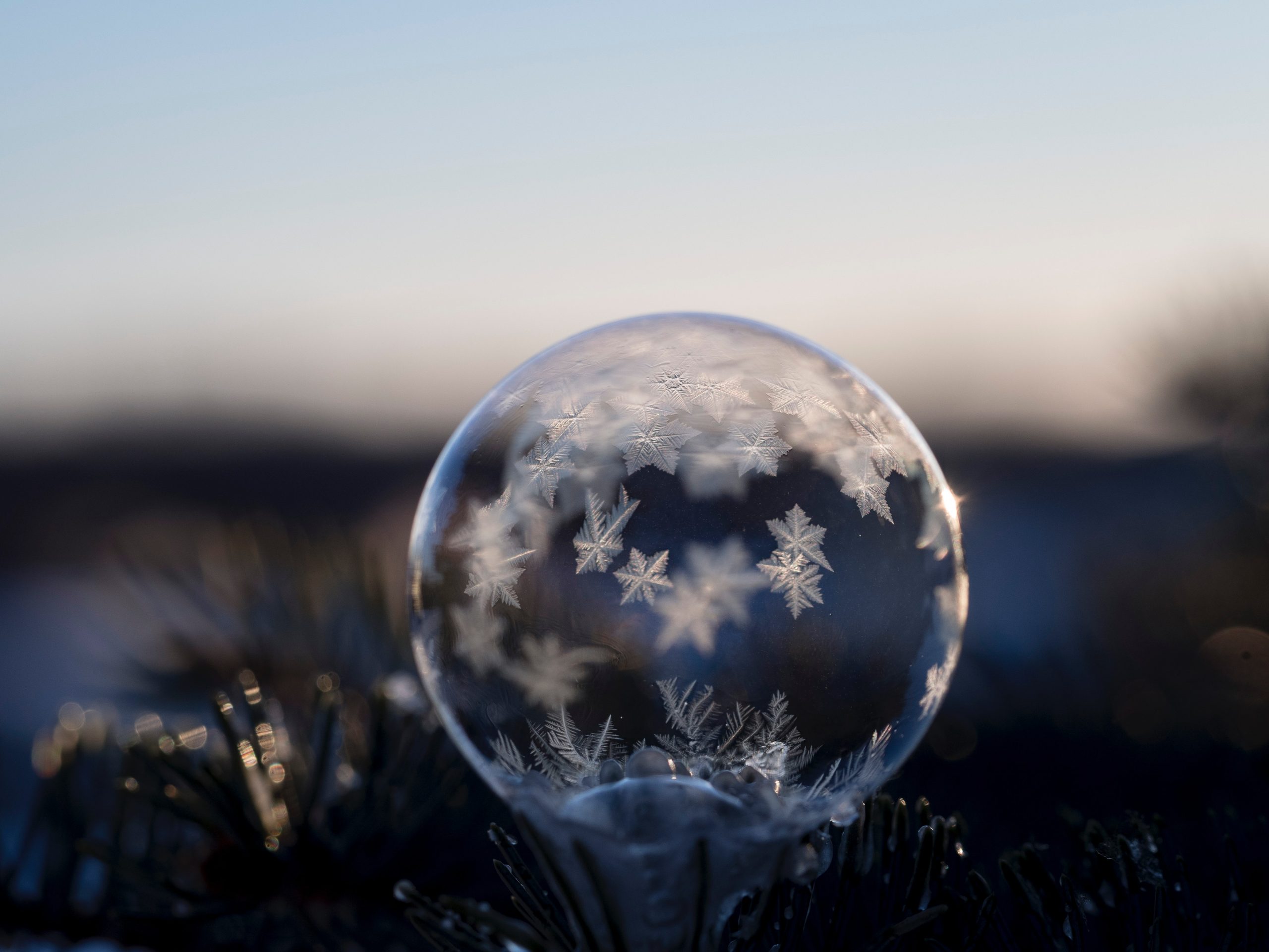 Winter Solstice Wishes - Curious Motion